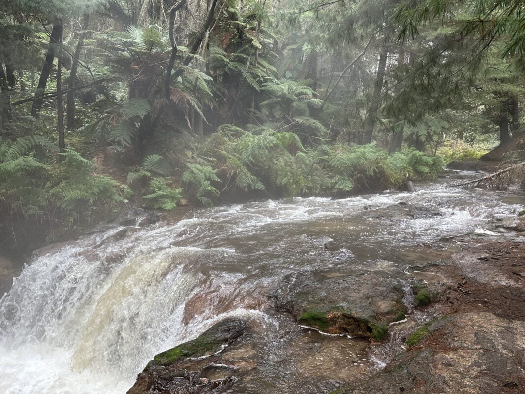 Kerosene Creek: How to Swim in Rotorua's Hot Springs - Journey By Backpack