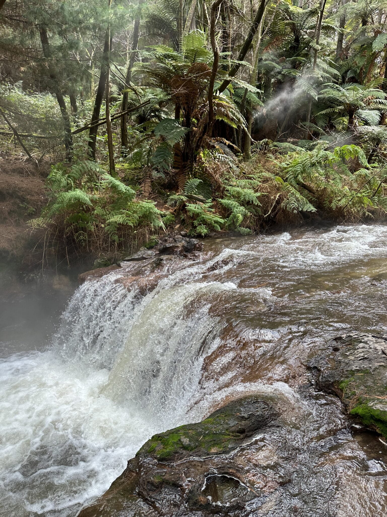 Kerosene Creek: How to Swim in Rotorua's Hot Springs - Journey By Backpack