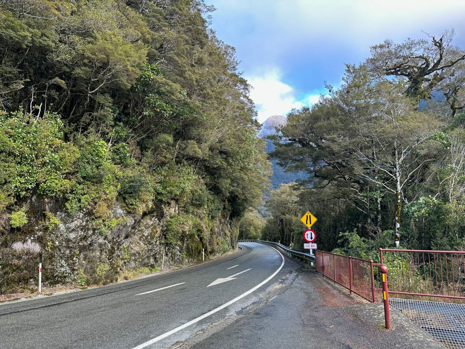 Queenstown to Milford Sound Drive: Ultimate Road Trip Guide & Best ...
