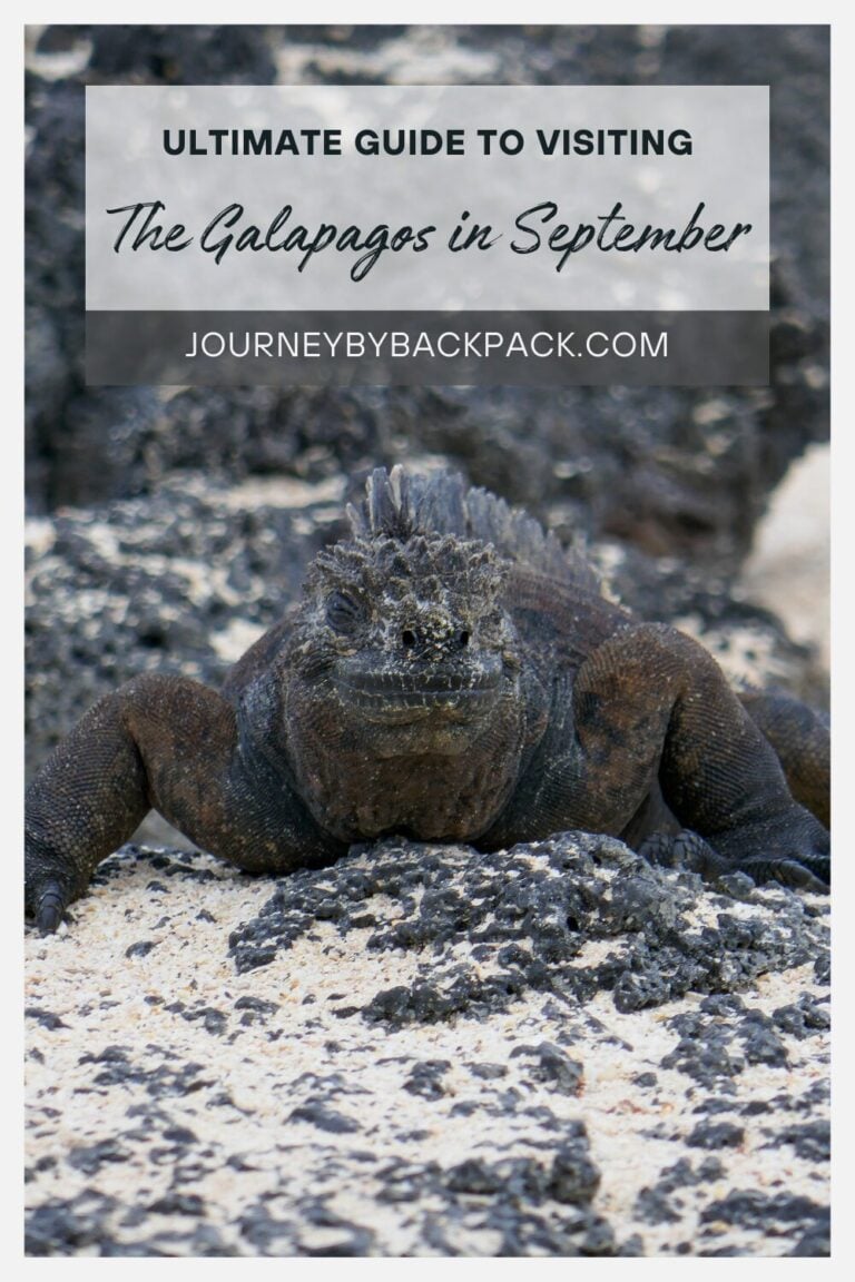 Visiting The Galapagos in September: All You Need to Know