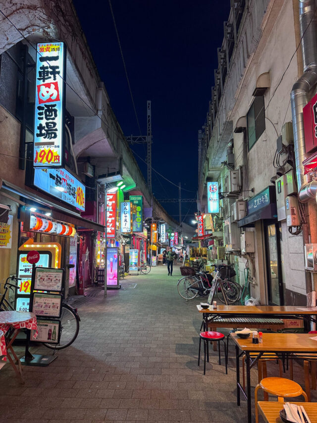 Solo Travel in Japan: 16 Helpful Things to Know