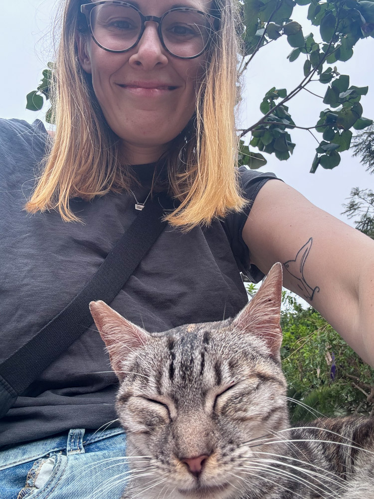Visiting the Cat Park in Lima: A Cat Lover's DREAM