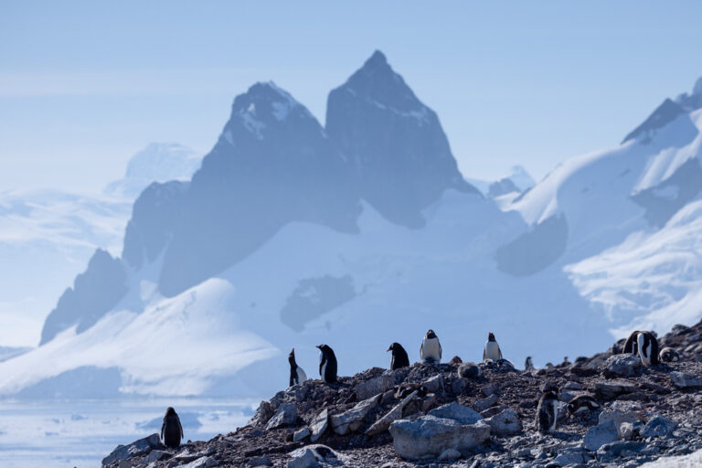 The Ultimate Packing List for Antarctica (+ What to Wear)